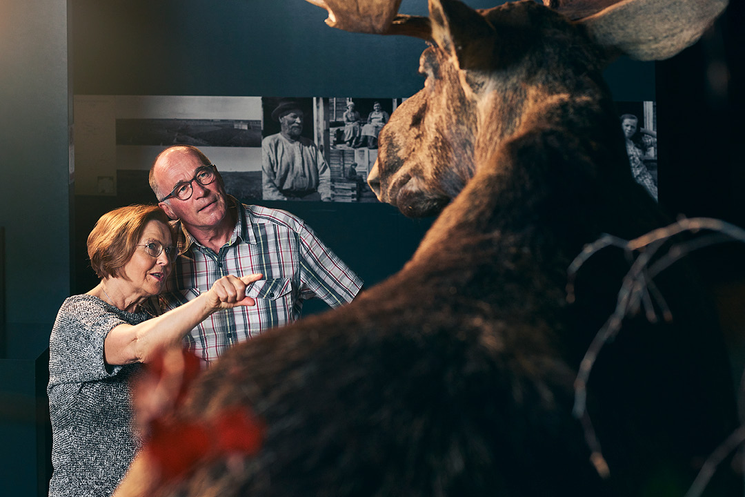 Arktikum – Arctic Science Center & Museum – Rovaniemi, Lapland